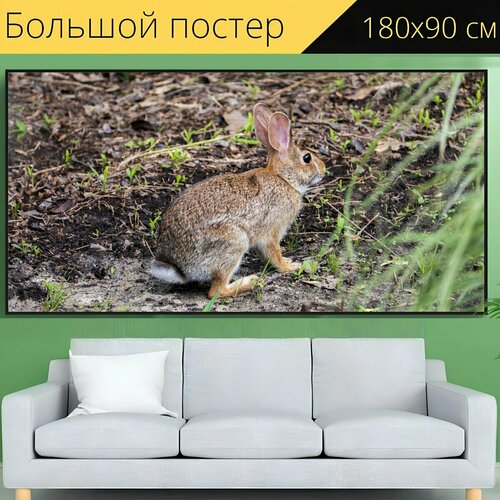 Большой постер "Кролик, млекопитающее, заяц" 180 x 90 см. для интерьера