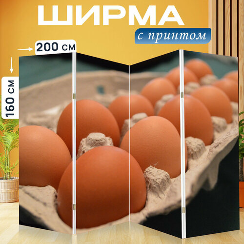 Ширма перегородка с принтом "Яйца, молочные продукты, еда" на холсте - 200x160 см. для зонирования, раскладная