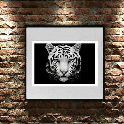 Постер "Белый тигр на черном фоне" из коллекции "Животные" А4