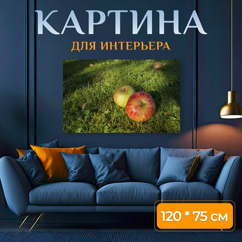 Картина на холсте "Неожиданная удача, яблоко, спелый" на подрамнике 120х75 см. для интерьера