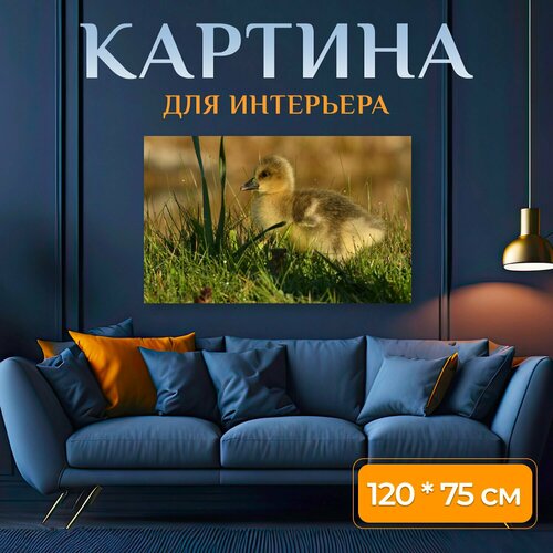 Картина на холсте "Гусянка, гусь, птица" на подрамнике 120х75 см. для интерьера