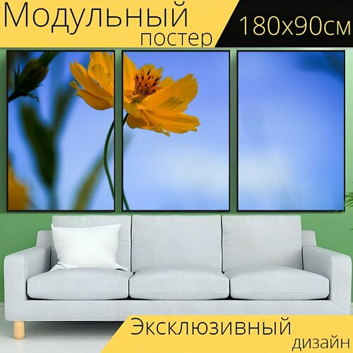 Модульный постер "Звездообразования, желтый цветок, природа" 180 x 90 см. для интерьера