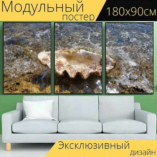 Модульный постер "Гигантский моллюск, пляж, море" 180 x 90 см. для интерьера