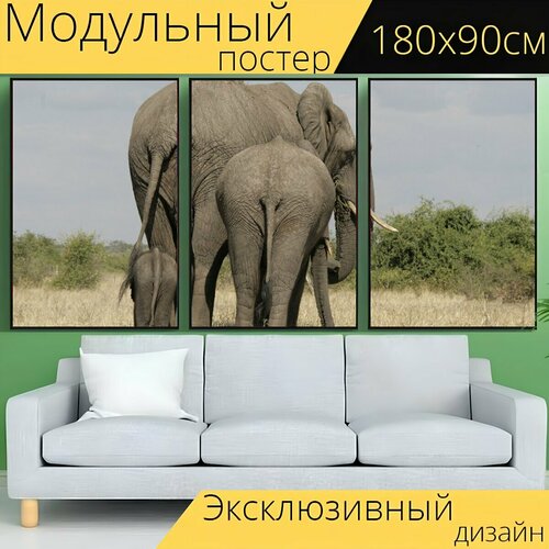 Модульный постер "Ботсвана, слон, слоненок" 180 x 90 см. для интерьера