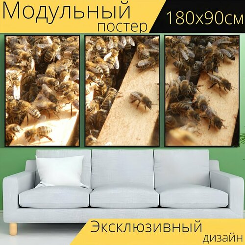 Модульный постер "Пчела, медовый, улей" 180 x 90 см. для интерьера