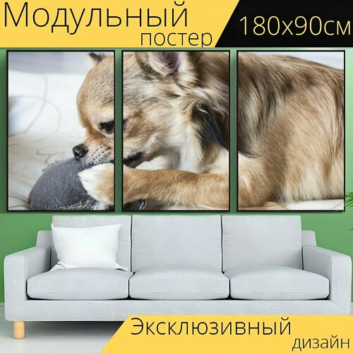 Модульный постер "Животное, собака, чихуахуа" 180 x 90 см. для интерьера
