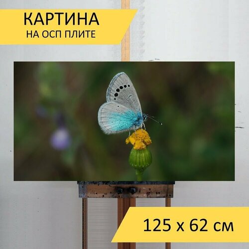Картина на ОСП 125х62 см. "Турция, анкара, бабочки" горизонтальная, для интерьера, с креплениями