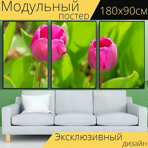 Модульный постер "Тюльпан, весна, пасхальный" 180 x 90 см. для интерьера