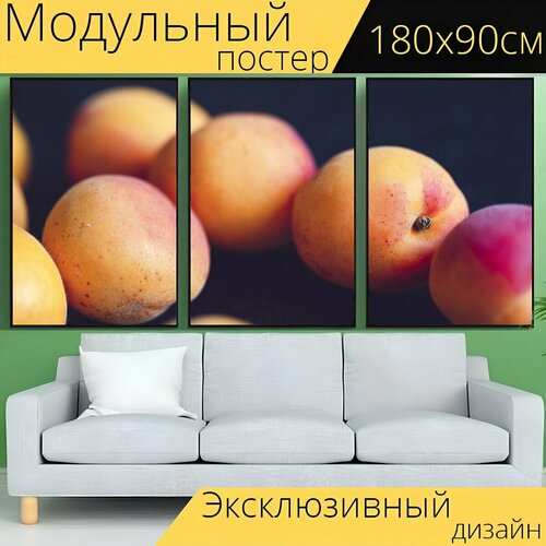 Модульный постер "Абрикос, фрукты, здоровый" 180 x 90 см. для интерьера
