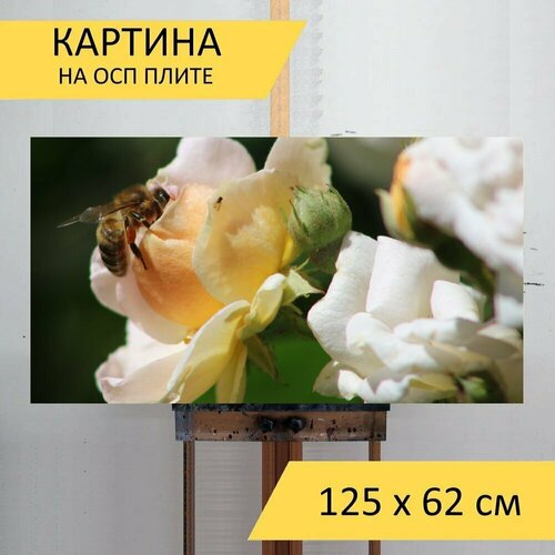 Картина на ОСП 125х62 см. "Пчела, роза, цветок" горизонтальная, для интерьера, с креплениями