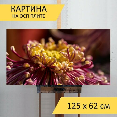 Картина на ОСП 125х62 см. "Хризантема, цветы, завод" горизонтальная, для интерьера, с креплениями