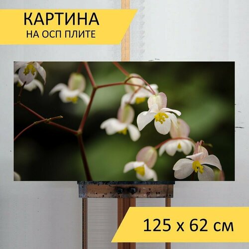 Картина на ОСП 125х62 см. "Цветы, белые цветки, блум" горизонтальная, для интерьера, с креплениями