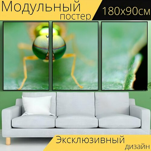 Модульный постер "Глаз, насекомое, природа" 180 x 90 см. для интерьера
