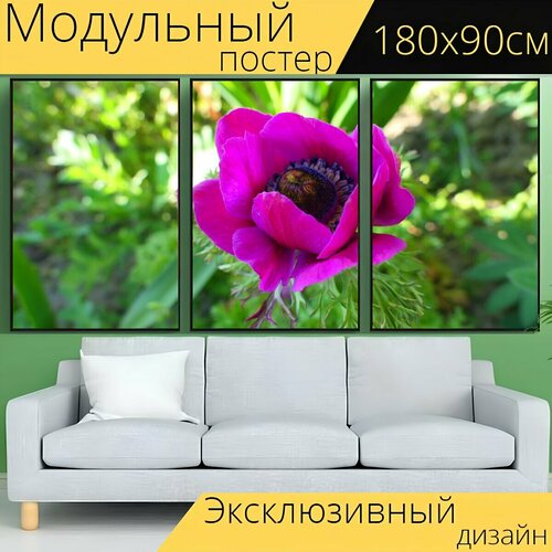 Модульный постер "Анемон, цветок, весна" 180 x 90 см. для интерьера
