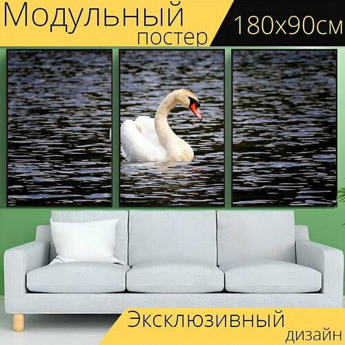 Модульный постер "Лебедь, озеро, птица" 180 x 90 см. для интерьера