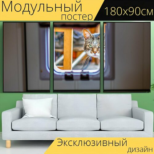 Модульный постер "Кошка лоскут, кот, через подглядывание" 180 x 90 см. для интерьера