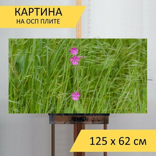 Картина на ОСП 125х62 см. "Цветок, фиолетовый, весна" горизонтальная, для интерьера, с креплениями