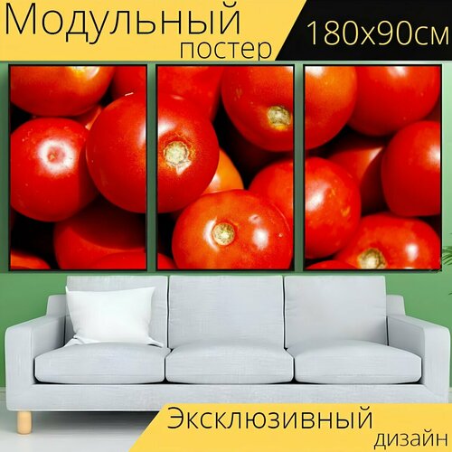 Модульный постер "Помидоры, овощи, питание" 180 x 90 см. для интерьера