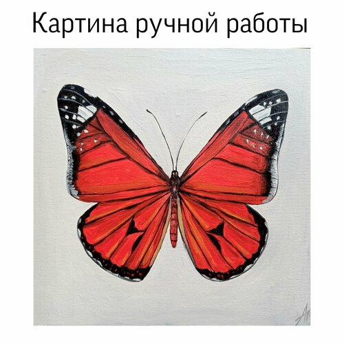 Картина с бабочкой. Авторская картина ручной работы. Бабочка маслом.