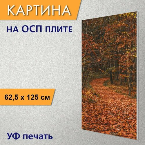 Вертикальная картина на ОСП "Падение, осень, листья" 62x125 см. для интерьериа