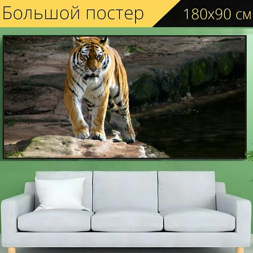 Большой постер "Дикая природа, тигр, хищник" 180 x 90 см. для интерьера