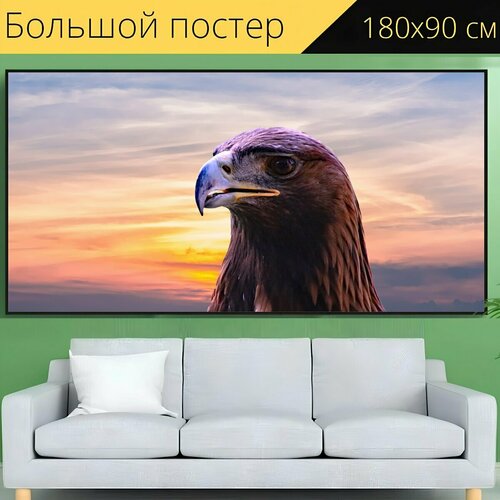 Большой постер "Золотой орёл, орел, птица" 180 x 90 см. для интерьера