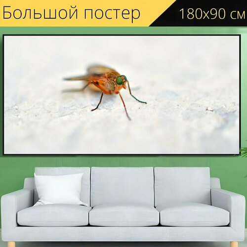 Большой постер "Летит, глаза насекомых, маленькое насекомое" 180 x 90 см. для интерьера