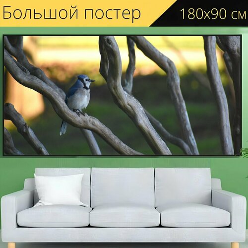 Большой постер "Голубая сойка, весна, птица" 180 x 90 см. для интерьера