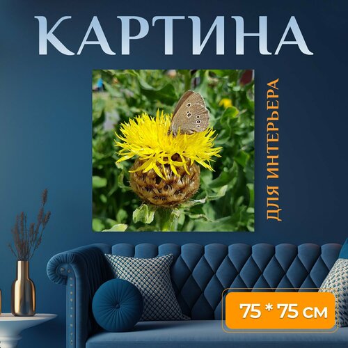 Картина на холсте "Бабочка, желтый цветок, природа" на подрамнике 75х75 см. для интерьера