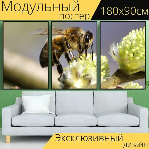 Модульный постер "Пчела, природа, животное" 180 x 90 см. для интерьера