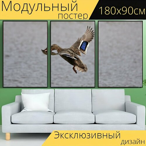 Модульный постер "Животное, озеро, птица" 180 x 90 см. для интерьера