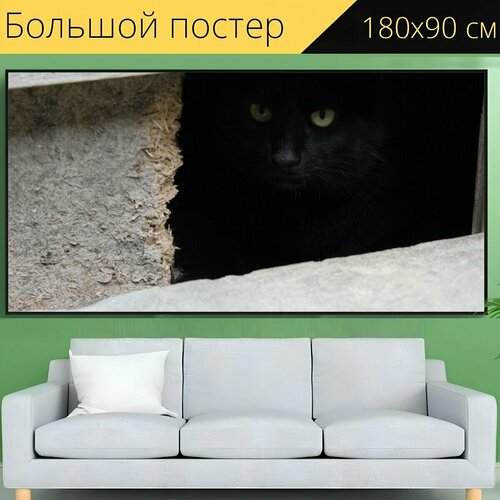 Большой постер "Кошка, черный кот, глаза кошки" 180 x 90 см. для интерьера