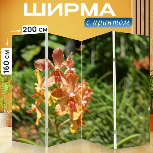 Ширма перегородка с принтом "Орхидея, цветы, ботаника" на холсте - 200x160 см. для зонирования, раскладная