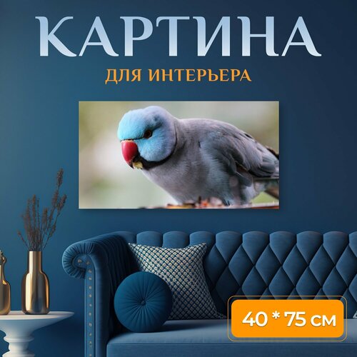 Картина на холсте "Попугай, синий, клюв" на подрамнике 75х40 см. для интерьера