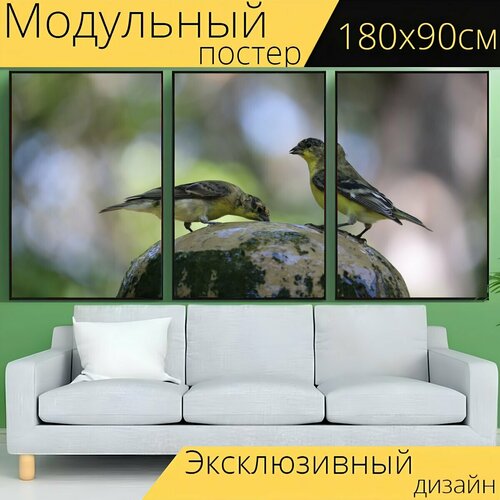 Модульный постер "Птицы, пара, фонтан" 180 x 90 см. для интерьера