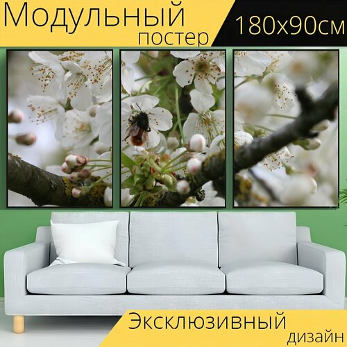 Модульный постер "Природа, вишня, цветы" 180 x 90 см. для интерьера