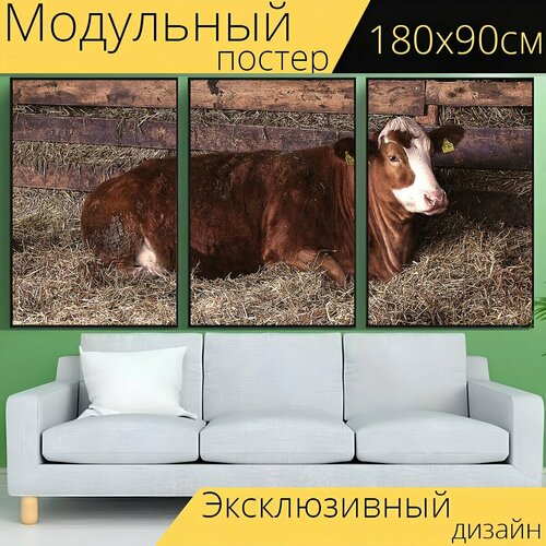 Модульный постер "Корова, говядина, сарай" 180 x 90 см. для интерьера