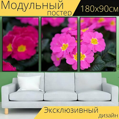 Модульный постер "Первоцвет, весенние цветы, весна" 180 x 90 см. для интерьера