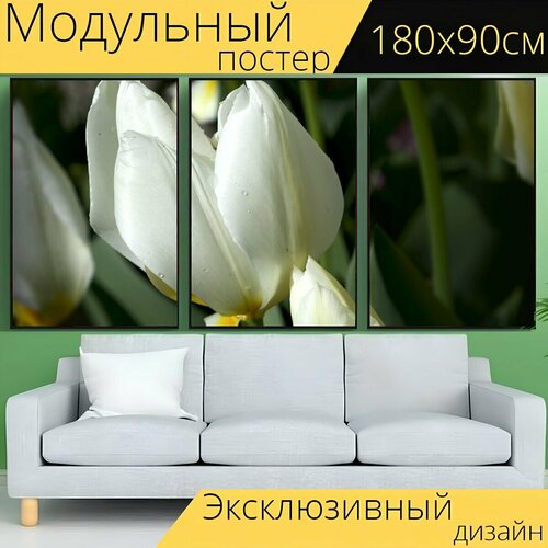 Модульный постер "Цветок, флора, белый" 180 x 90 см. для интерьера
