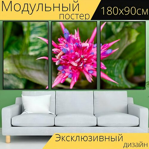 Модульный постер "Цветок, флорида, сад" 180 x 90 см. для интерьера