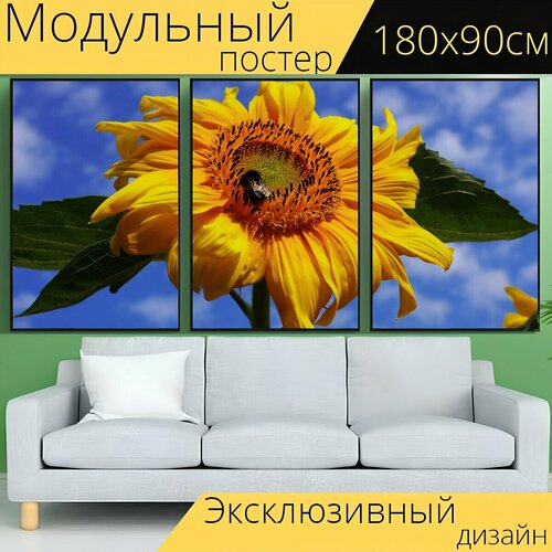 Модульный постер "Подсолнечник, желтые лепестки, цветок" 180 x 90 см. для интерьера