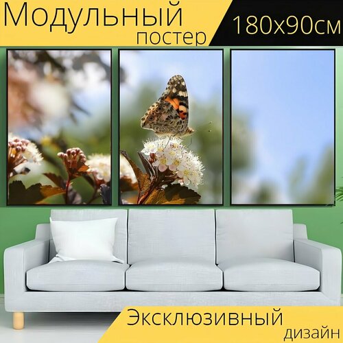 Модульный постер "Бабочка, бабочки, насекомое" 180 x 90 см. для интерьера