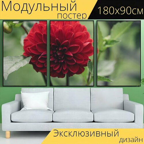 Модульный постер "Дали, цветок, цвести" 180 x 90 см. для интерьера