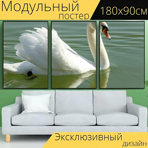 Модульный постер "Лебедь, птица, белый" 180 x 90 см. для интерьера