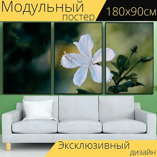 Модульный постер "Гибискус, цветок, белый" 180 x 90 см. для интерьера