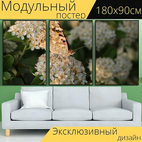 Модульный постер "Бабочка, весна, цветок" 180 x 90 см. для интерьера