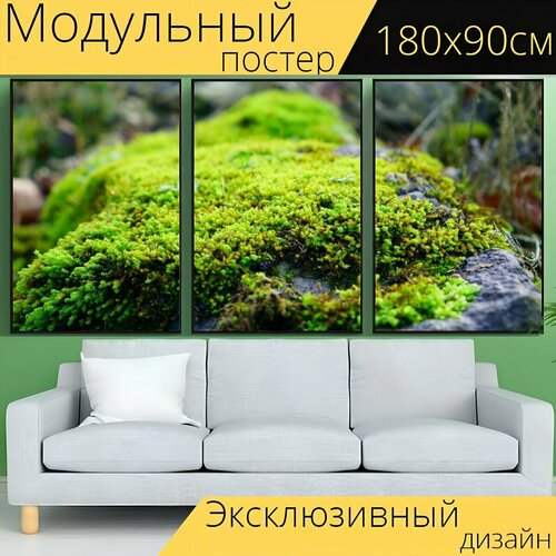 Модульный постер "Природа, мох, лес" 180 x 90 см. для интерьера