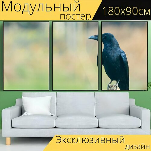 Модульный постер "Ворона, ворона на журнале, чернить" 180 x 90 см. для интерьера