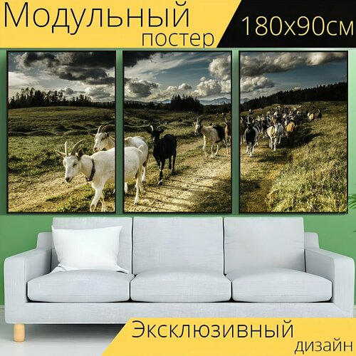 Модульный постер "Агропромышленность, природа, газон" 180 x 90 см. для интерьера