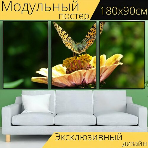 Модульный постер "Бабочка, цинния, цветок" 180 x 90 см. для интерьера